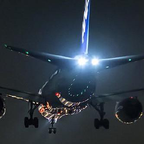 AJ-Coding101/Animal-Image-Classification-Using-Convolutional-Neural-Networks | DagsHub